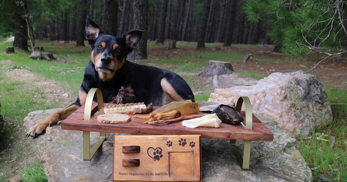 My Journey to Creating Narla's Dogilicious Treats – Narla`s Dogilicious ...